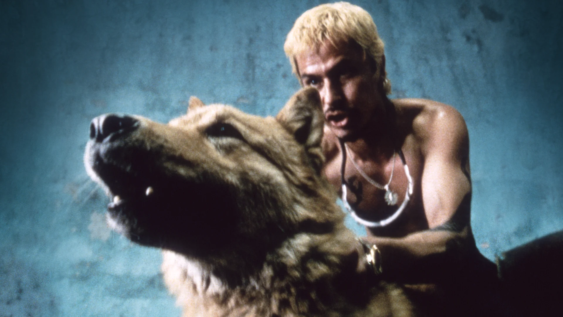 “Amores perros” regresa restaurada a Cannes a 25 años de su estreno